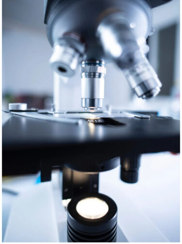 【英語表現】「貢献する/捧げる」(contribute/devote/dedicate) » yumemiru-blog